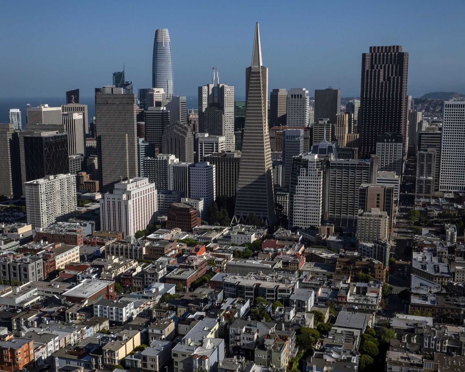 SAN FRANCISCO AI HUB 5 | | sfexaminer.com