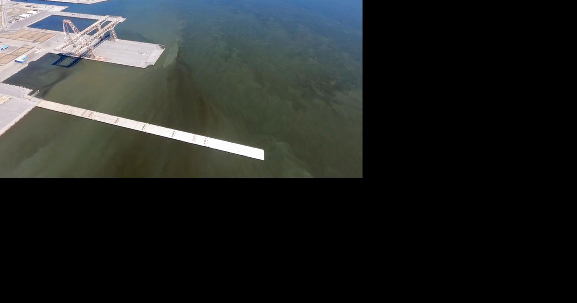 Harmful S.F. Bay algal bloom bigger than expected and growing | San ...