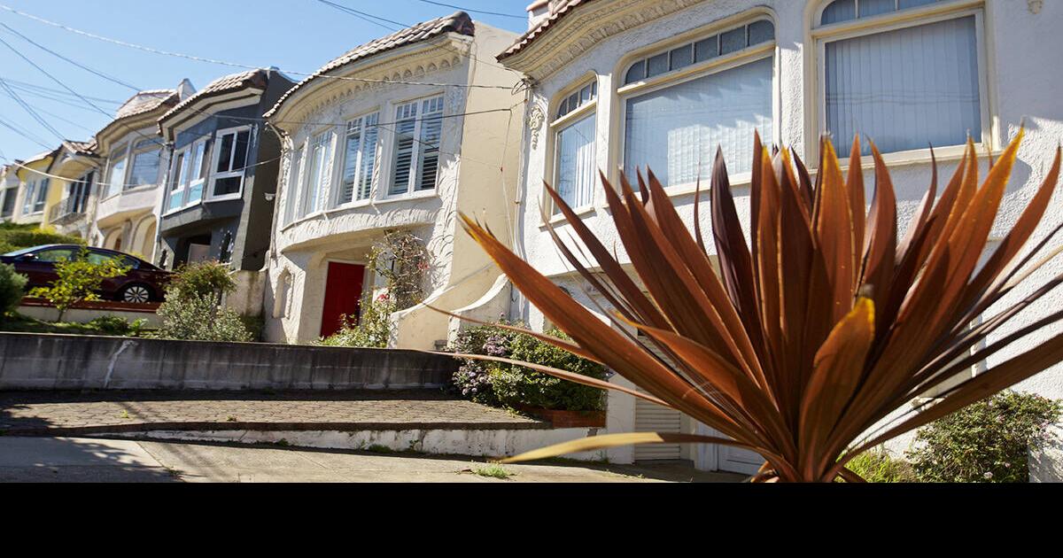S.F.’s fourplex housing debate gets more heated | Archives | sfexaminer.com