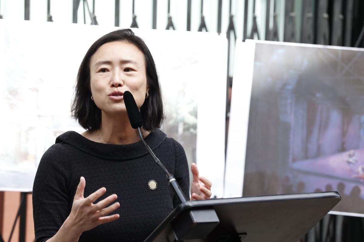 Connie Chan running for Congress to succeed Nancy Pelosi | Politics ...