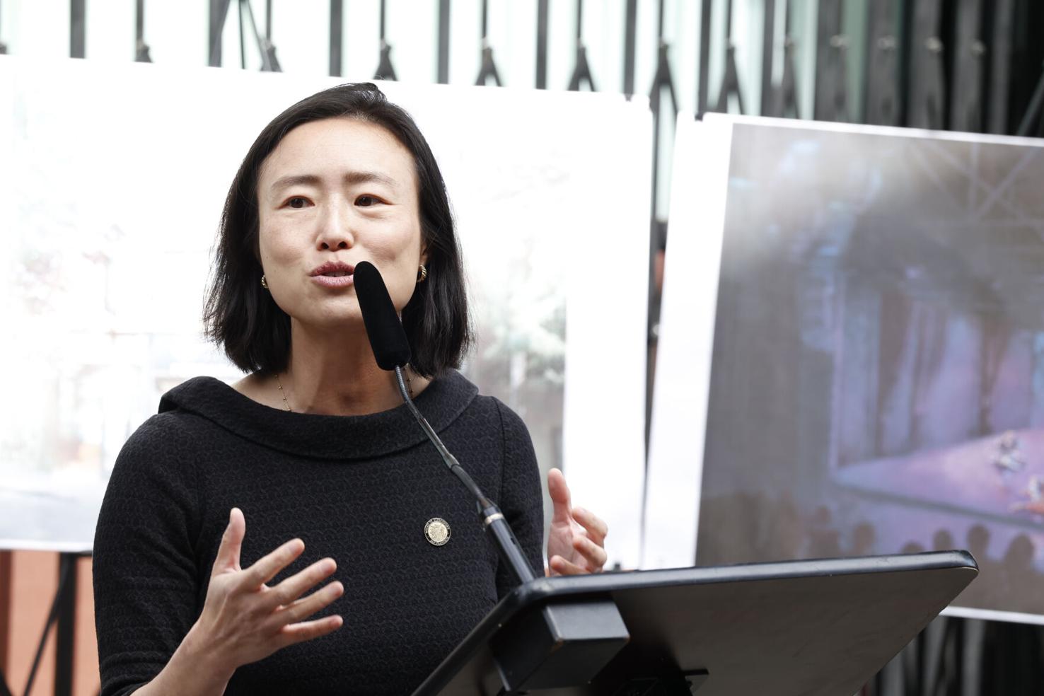 Connie Chan running for Congress to succeed Nancy Pelosi | Politics ...