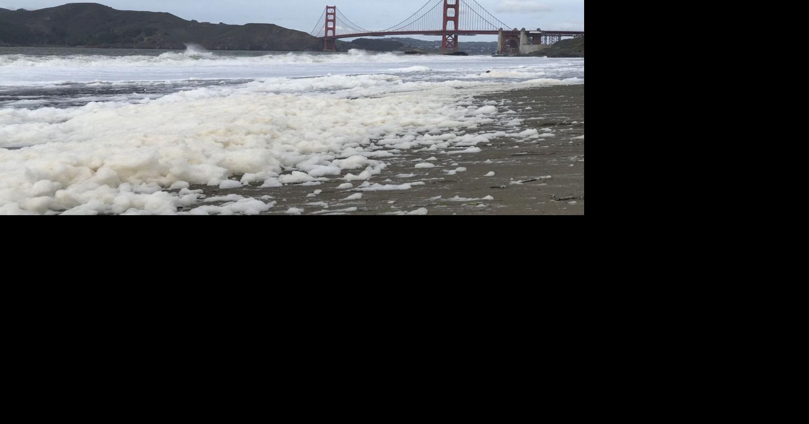 Here's which SF parks got the worst of the storm erosion | Climate ...