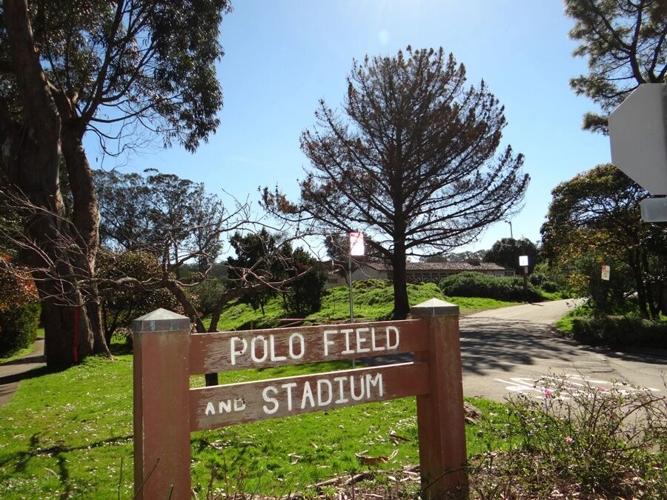 Five under $20: what to do in San Francisco next week | Culture ...