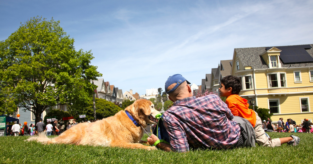 SF's Heart Your Parks campaign returns ahead of Earth Day | Visual arts ...