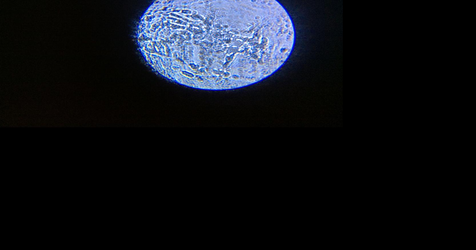 The Hunt for Methane-Eating Microbes | | sfexaminer.com