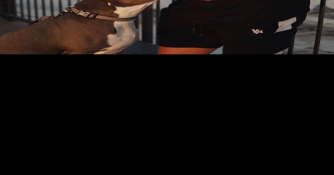 Relaxing Dogs During the Pandemic | Our Partners | sfexaminer.com