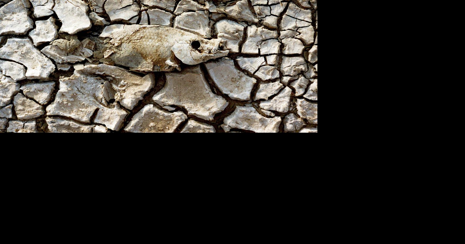 The Salton Sea is on track to become ‘Lithium Valley’ | Business ...