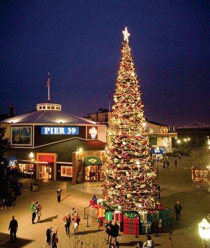 Bay Area holiday events preview | Culture | sfexaminer.com