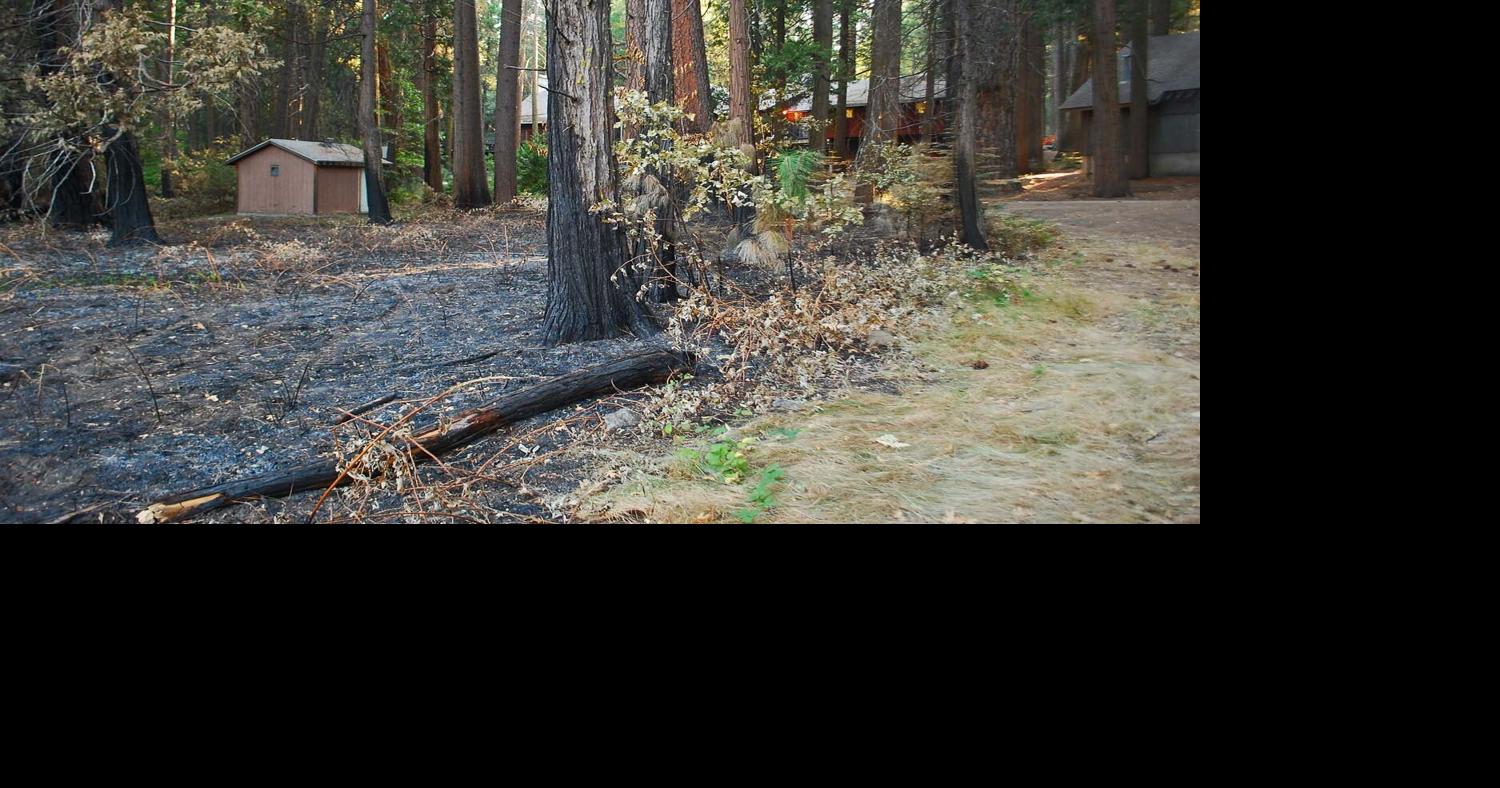 Fire helped save SF's Camp Mather from the Rim Fire | San Francisco ...