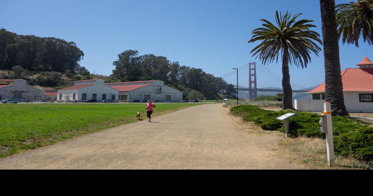 Sally Stephens: Feeling the impact of spending every day alone | Forum ...