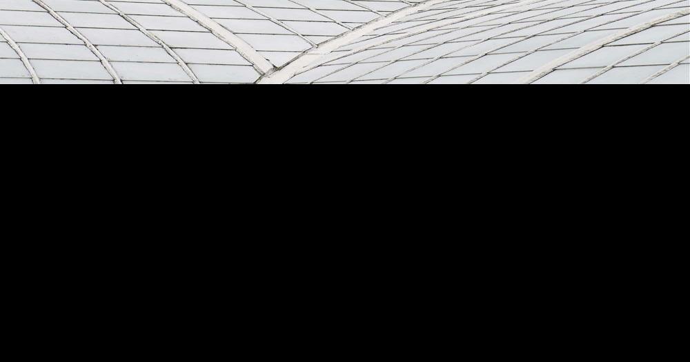 ‘Plantosaurus Rex’ opens at Conservatory of Flowers | Culture ...