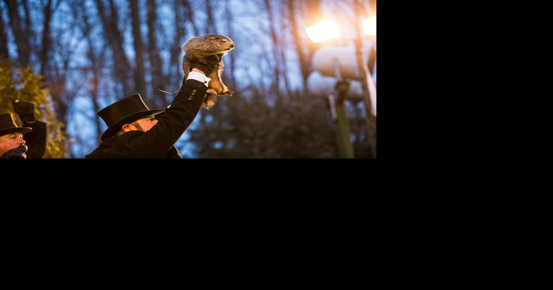 Groundhog Day Tradition and Predictions | | sfexaminer.com