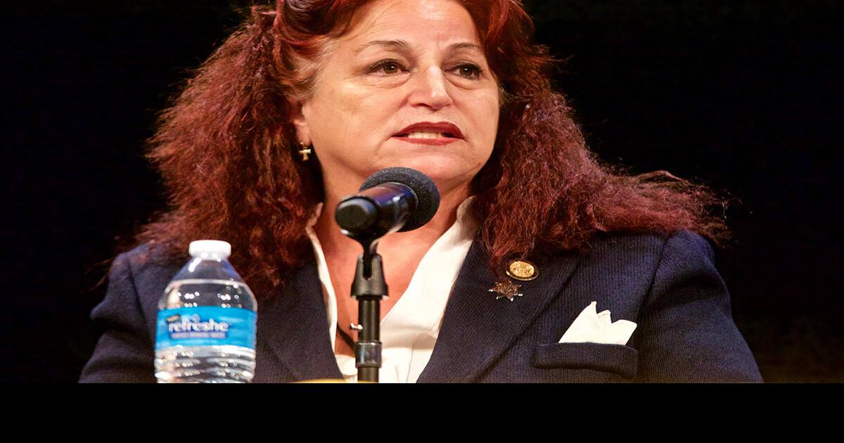 Angela Alioto’s use of racial epithet at Democratic Party board prompts ...