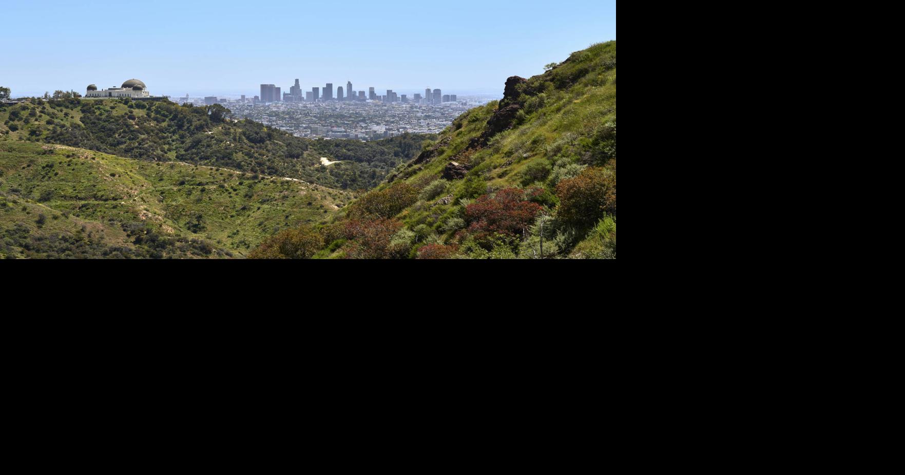 The gentrification of blue America | Archives | sfexaminer.com