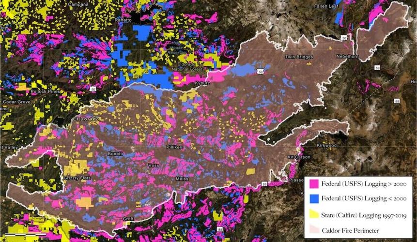 Cal Fire, timber industry must face an inconvenient truth | Archives ...