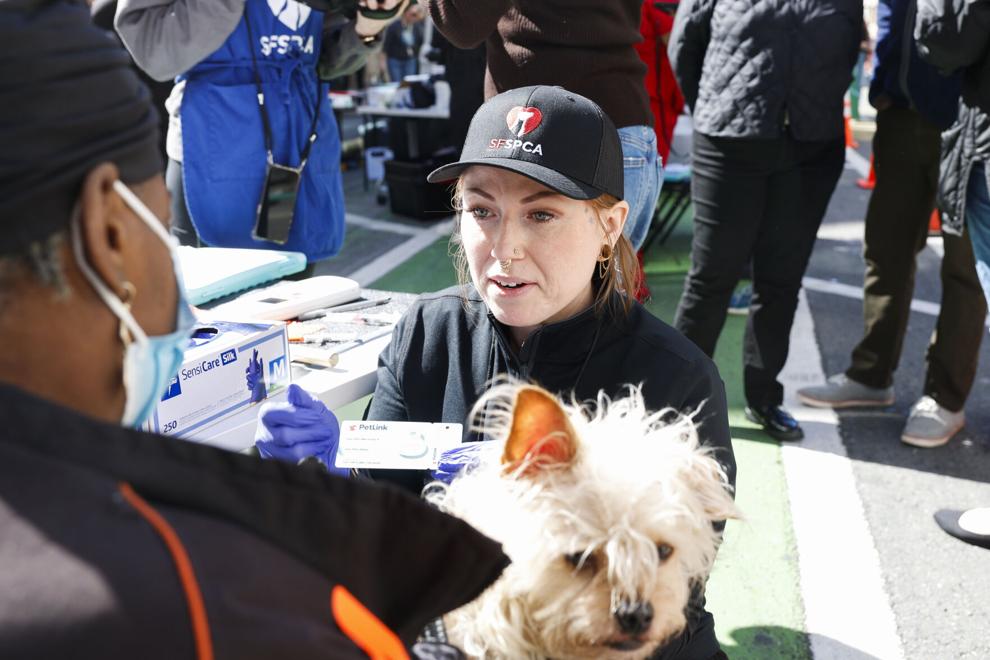 SF SPCA Tenderloin dog vaccine clinic pops up for puppies | Public ...