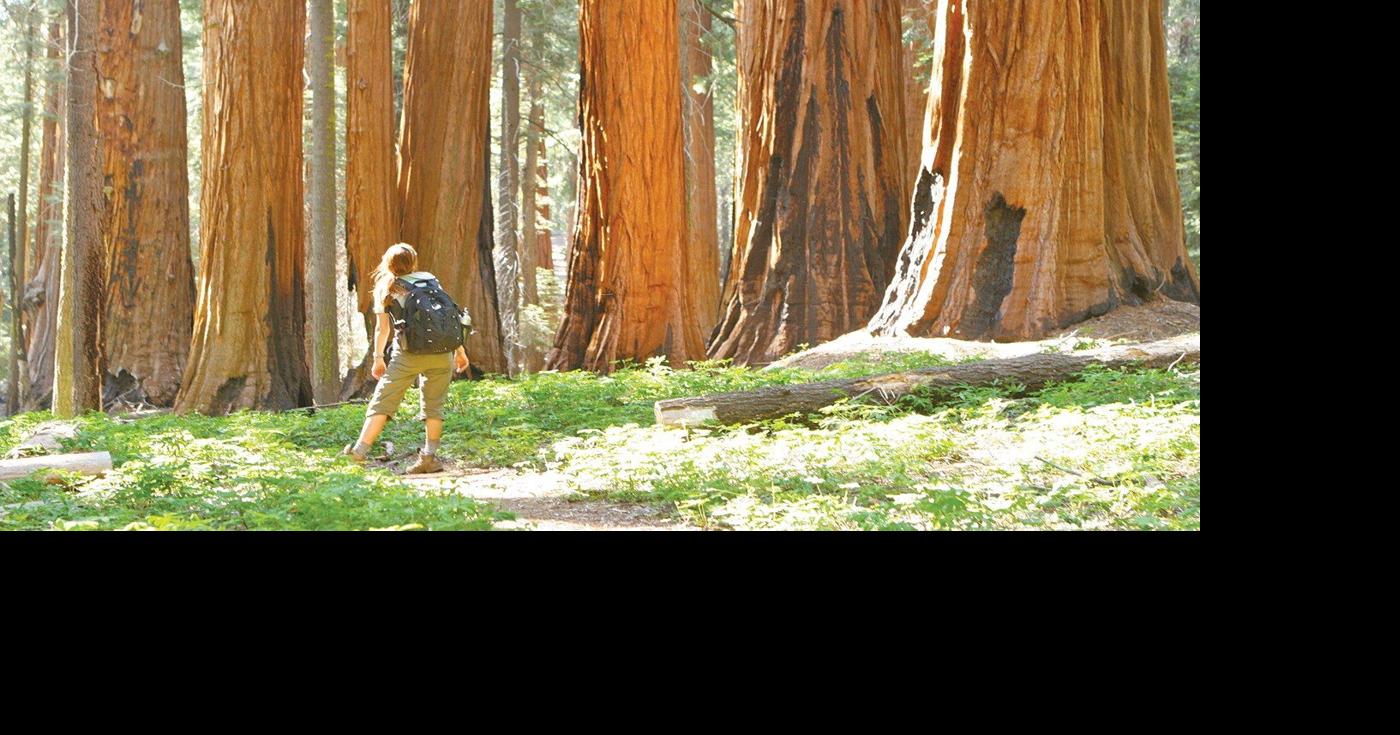 April 24-25: Square dancing, Junior Ranger Day and more | Culture ...