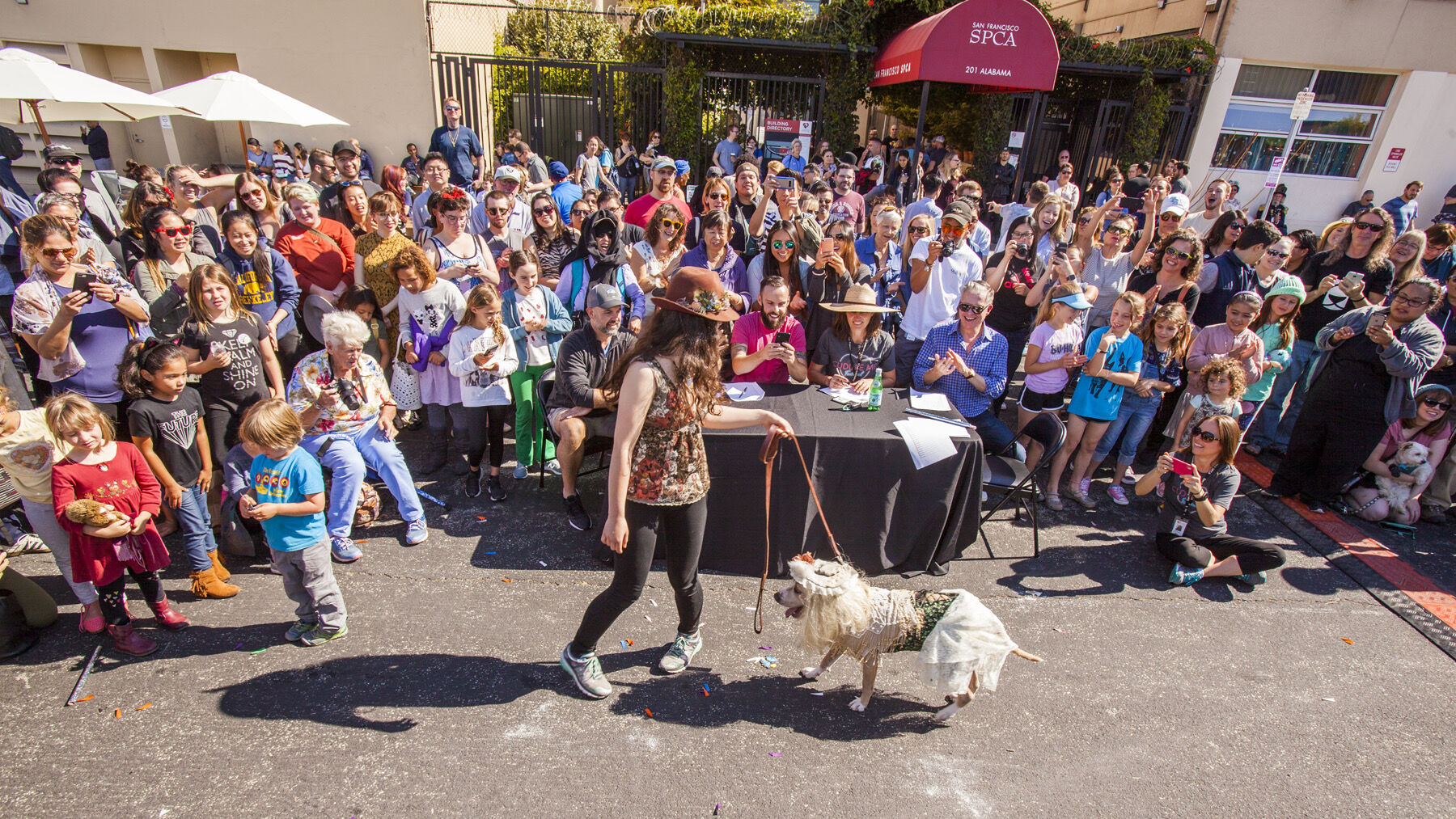Mission District block party celebrates SF SPCA anniversary | Community ...