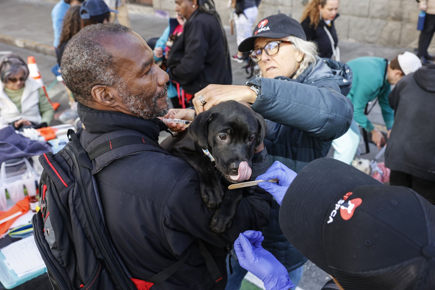SF SPCA Tenderloin dog vaccine clinic pops up for puppies | Public ...