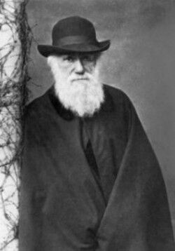 HBO to Produce Questioning Darwin Documentary | Archives | sfweekly.com