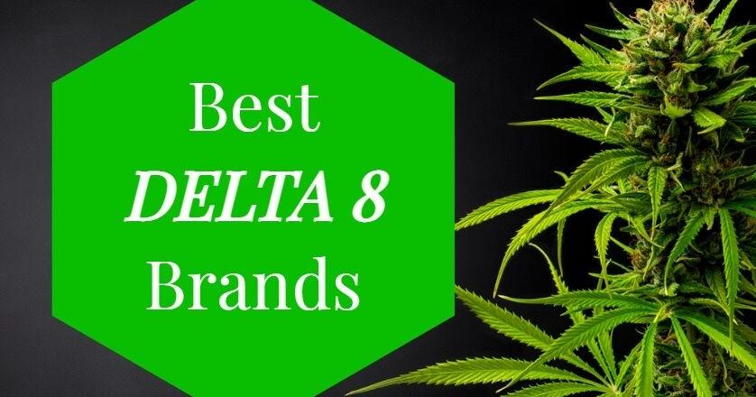 Best Delta 8 Brands – Top 10 Delta 8 THC Companies in 2022 [Reviewed ...