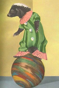 Dressing Up Animals in People Clothes Is Pretty Much All '50s Americans ...