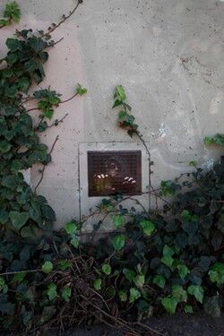 Godfather of street art Dan Witz hides his work in plain sight | Art ...