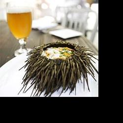 Brick & Fish | Dining | sfweekly.com
