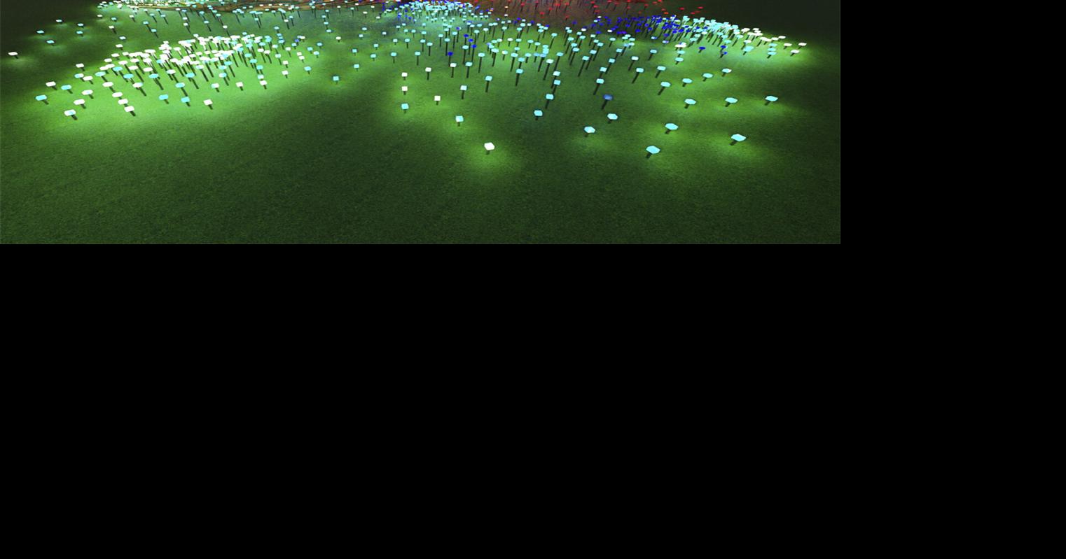 Explore an LED Forest This Winter | Archives | sfweekly.com