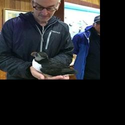 The Write Stuff: Joshua Clover on Wearing Intense Knowledge Lightly and ...