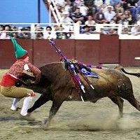 Running of the Bulls and La Tomatina Descend on the Bay Area | Archives ...