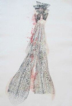 “Awash in Bodies:” Sensual Watercolors and The Little Mermaid as Trans ...
