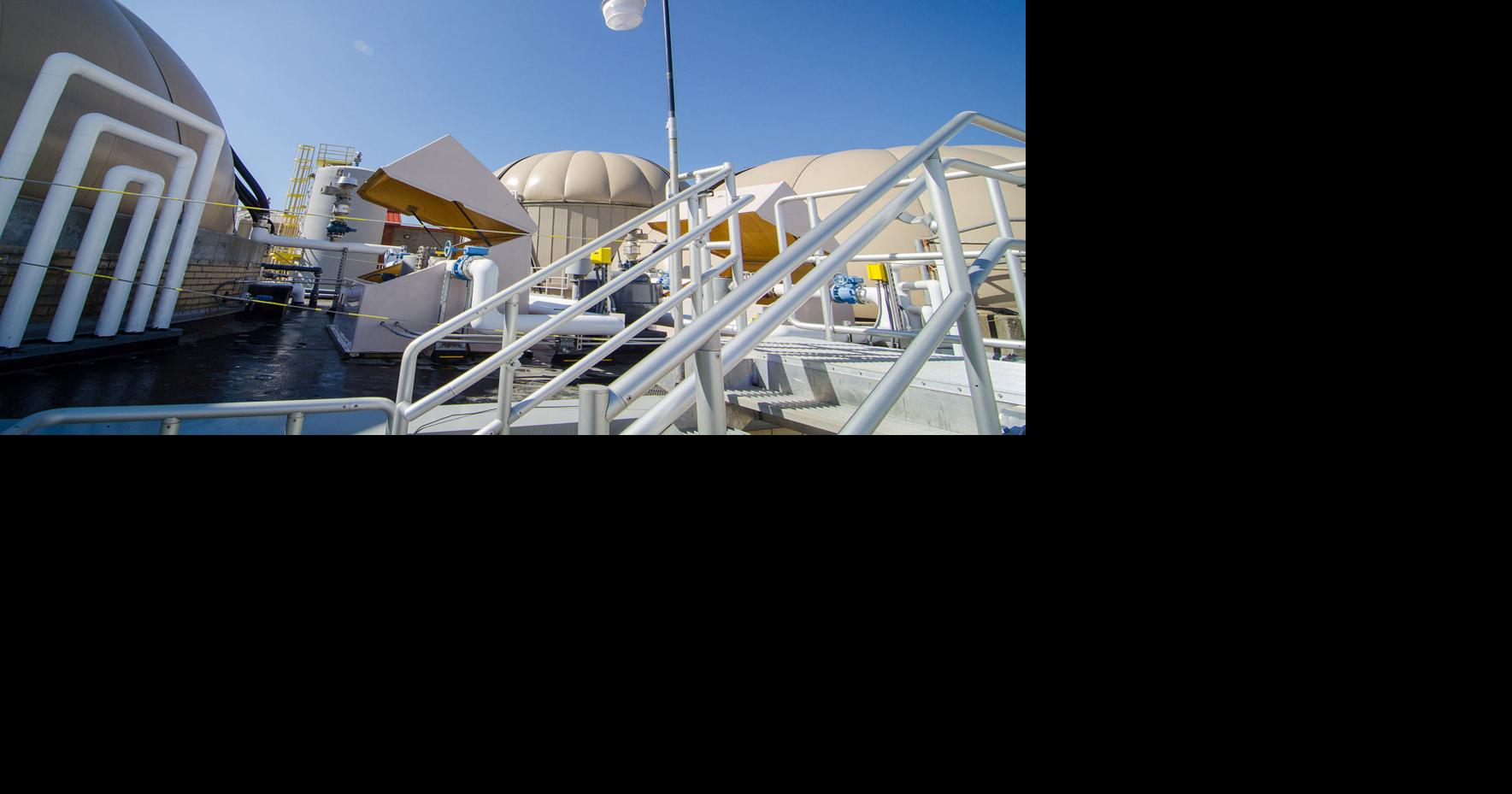 Hermitage to celebrate Mother Earth with special day of events | News ...