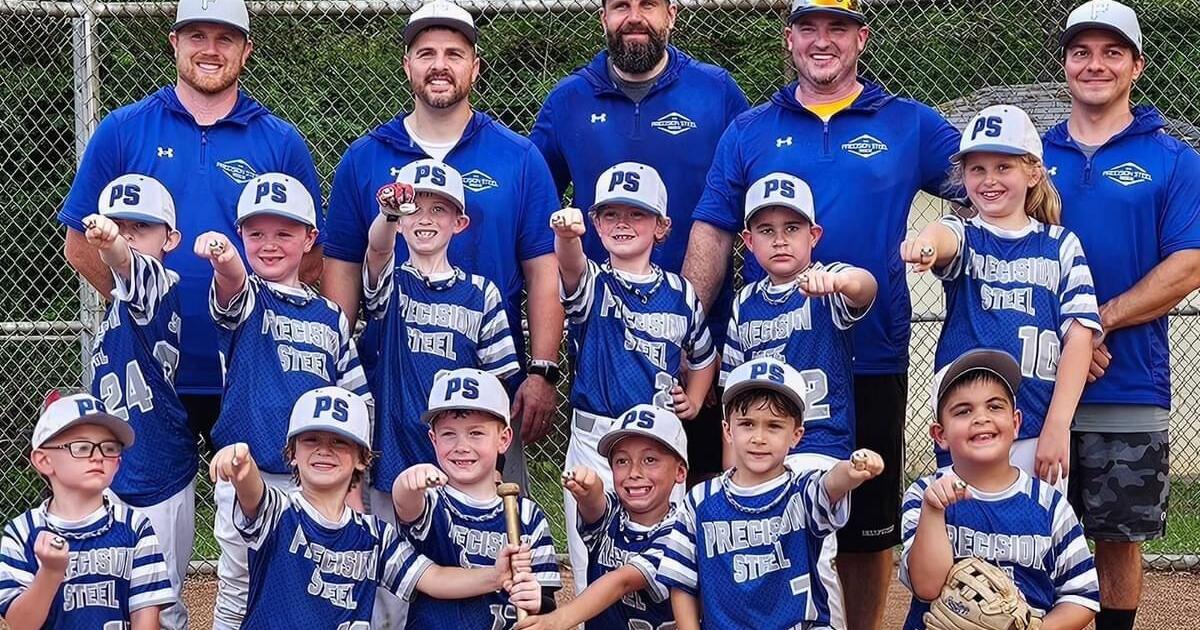 Precision Steel wins Hermitage Minor League championship game over ...