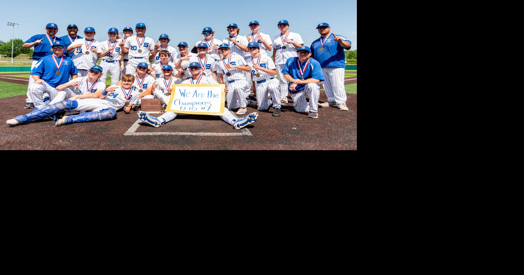 Sharpsville baseball tops Lakeview, 4-1, to capture D-10 Class 2A crown ...