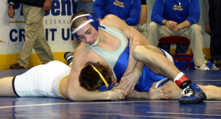 11 locals advance to quarterfinals at PIAA Class AA Wrestling ...