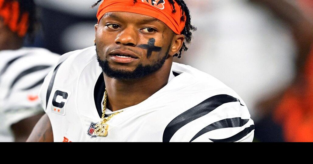 Bengals' Joe Mixon recharged with pointing gun at woman | Sports ...