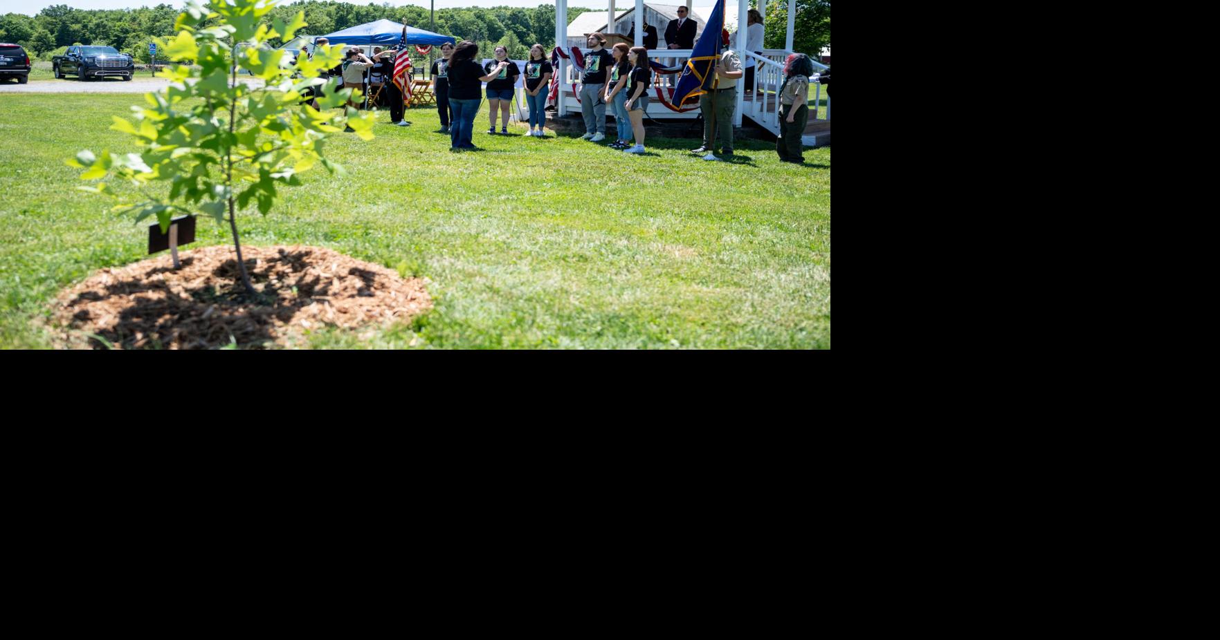 County plants Liberty Tree to celebrate U.S. 250th | News ...