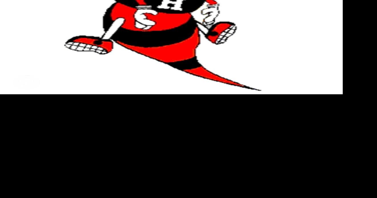 Roundup: Hickory baseball defeats Sharpsville; Sharon's Vogan fires no ...