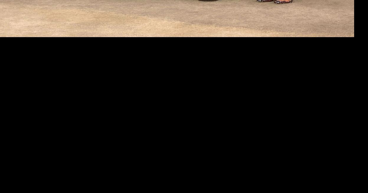 Local public official Piccirilli recognized with award | News ...