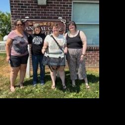 Microchipped cat returned to family | News | sharonherald.com