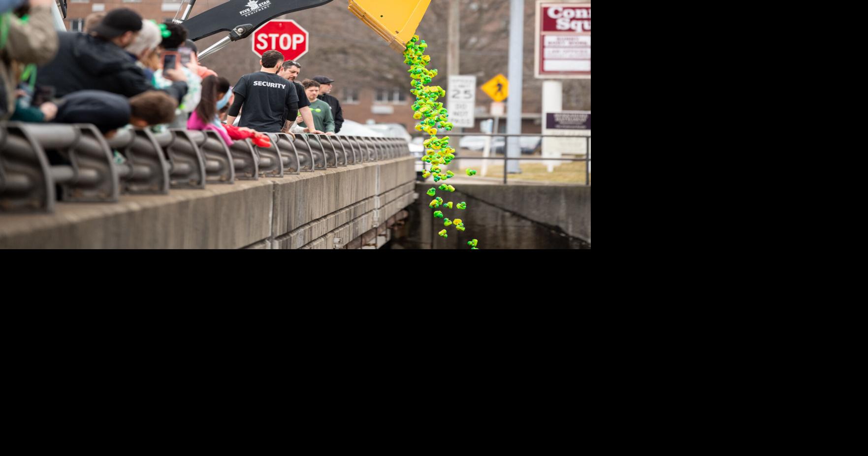 The return of a quacktacular event: the Lucky Duck Race | News ...
