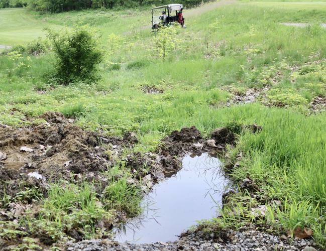 Lots of rain creating havoc for businesses | News | sharonherald.com