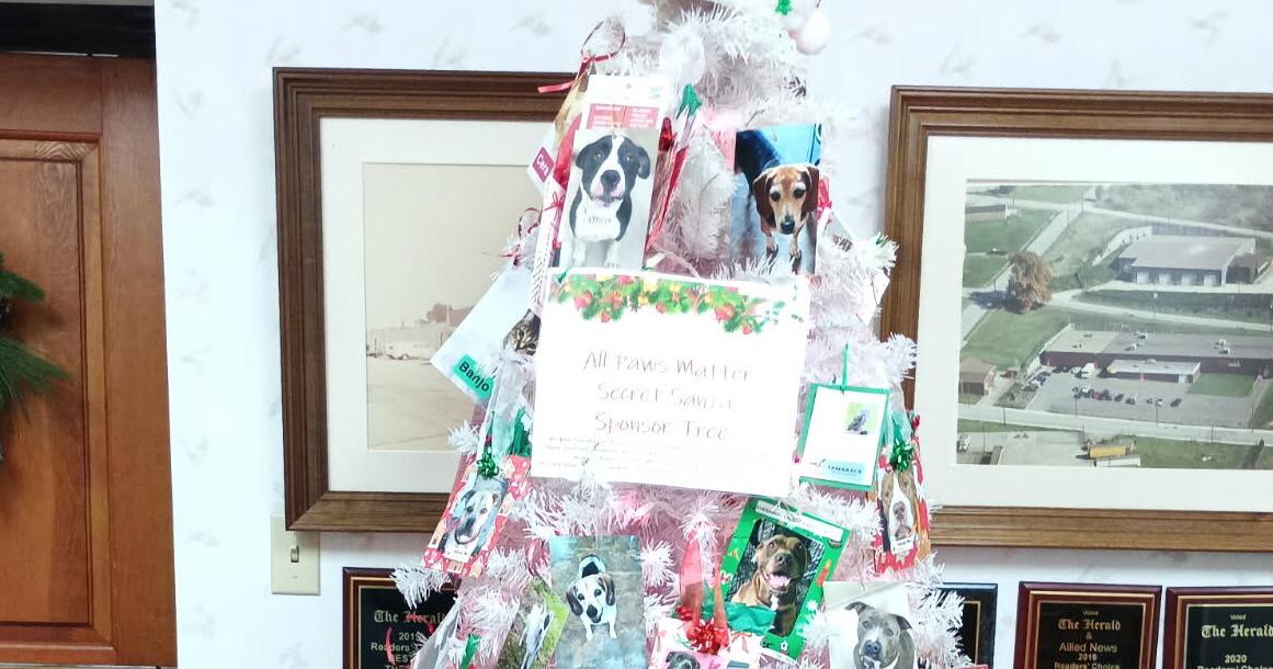 Secret Santa trees to promote local adoptable animals | News ...