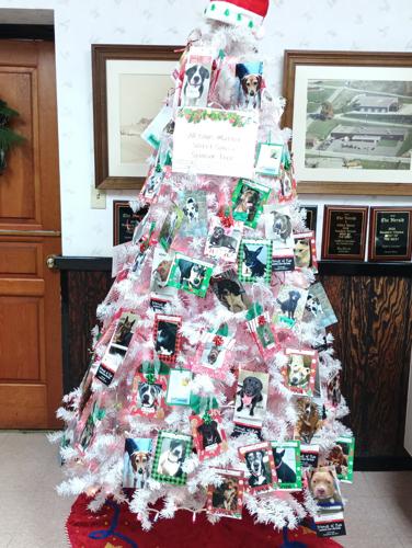 Secret Santa trees to promote local adoptable animals | News ...