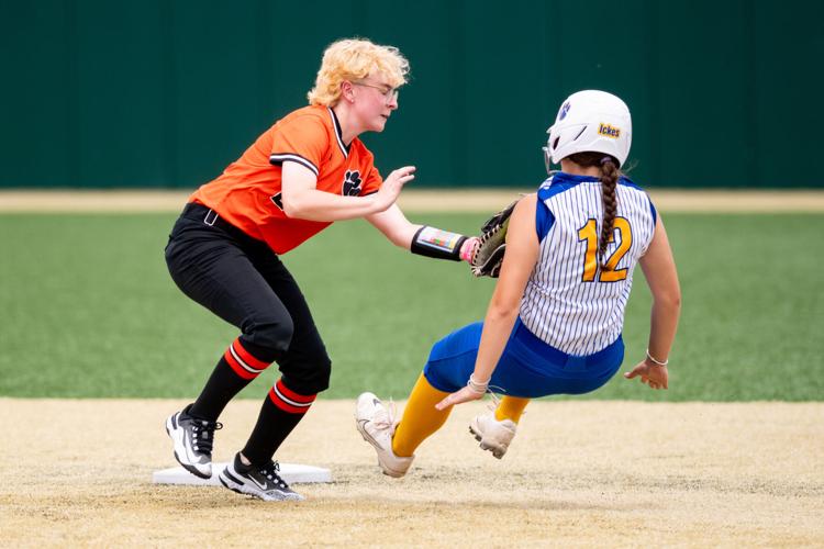 Sharon Survives: Vogan's 2-run homer in 8th inning sends Tigers past ...