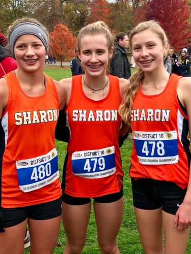 Runners ready to make a 'State-ment' | Sports | sharonherald.com