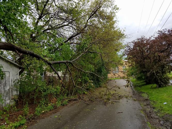 Storm causes power outages and downed limbs | Local News | sharonherald.com