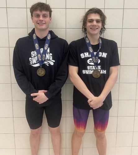 Sharon swimmers Cattron, Dorsch win 2 medals each at PIAA Swimming & Diving Championships ...