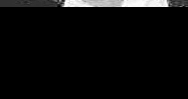 Michael George Gilliland | | sharonherald.com